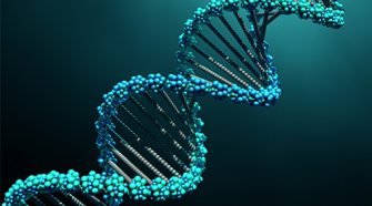 The Impact of Trauma on Future Generations - NICABM